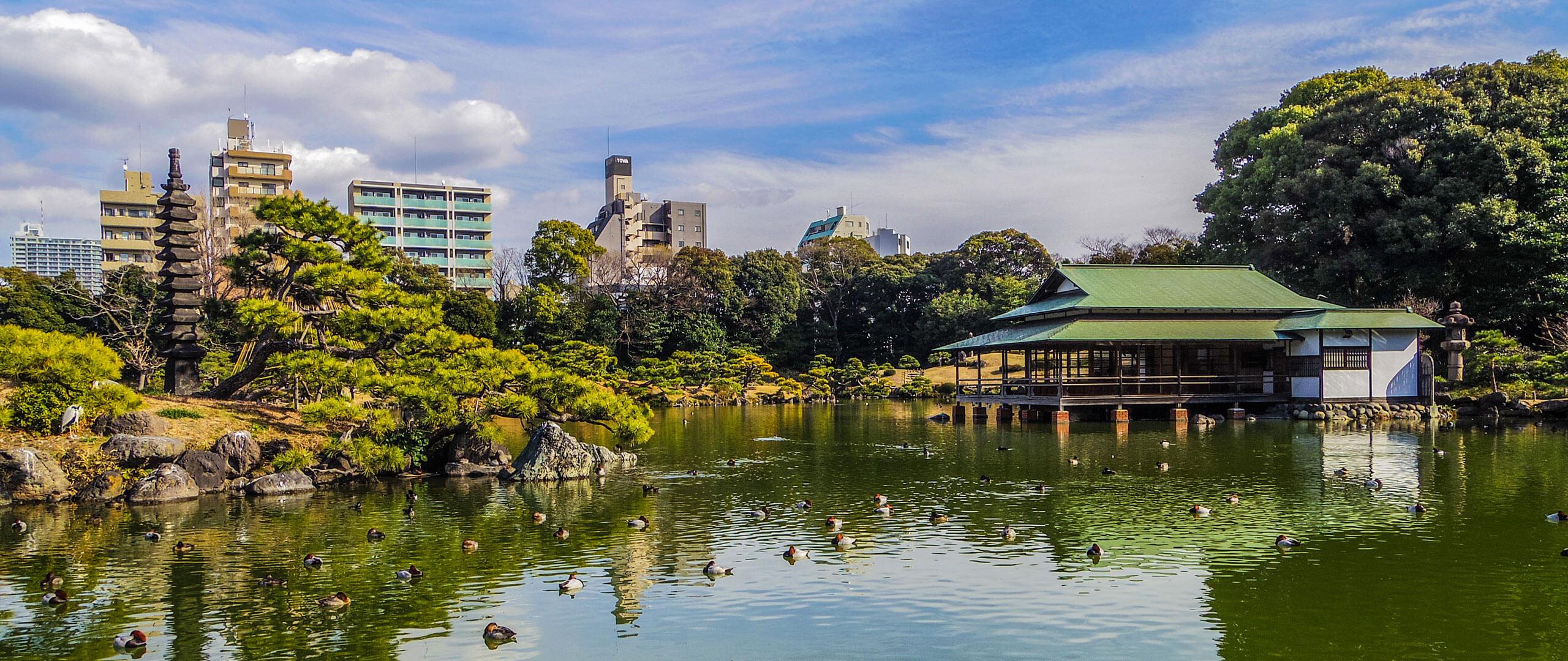 Kiyosumi - Apartments & Share Houses for Rent in Japan – Cove